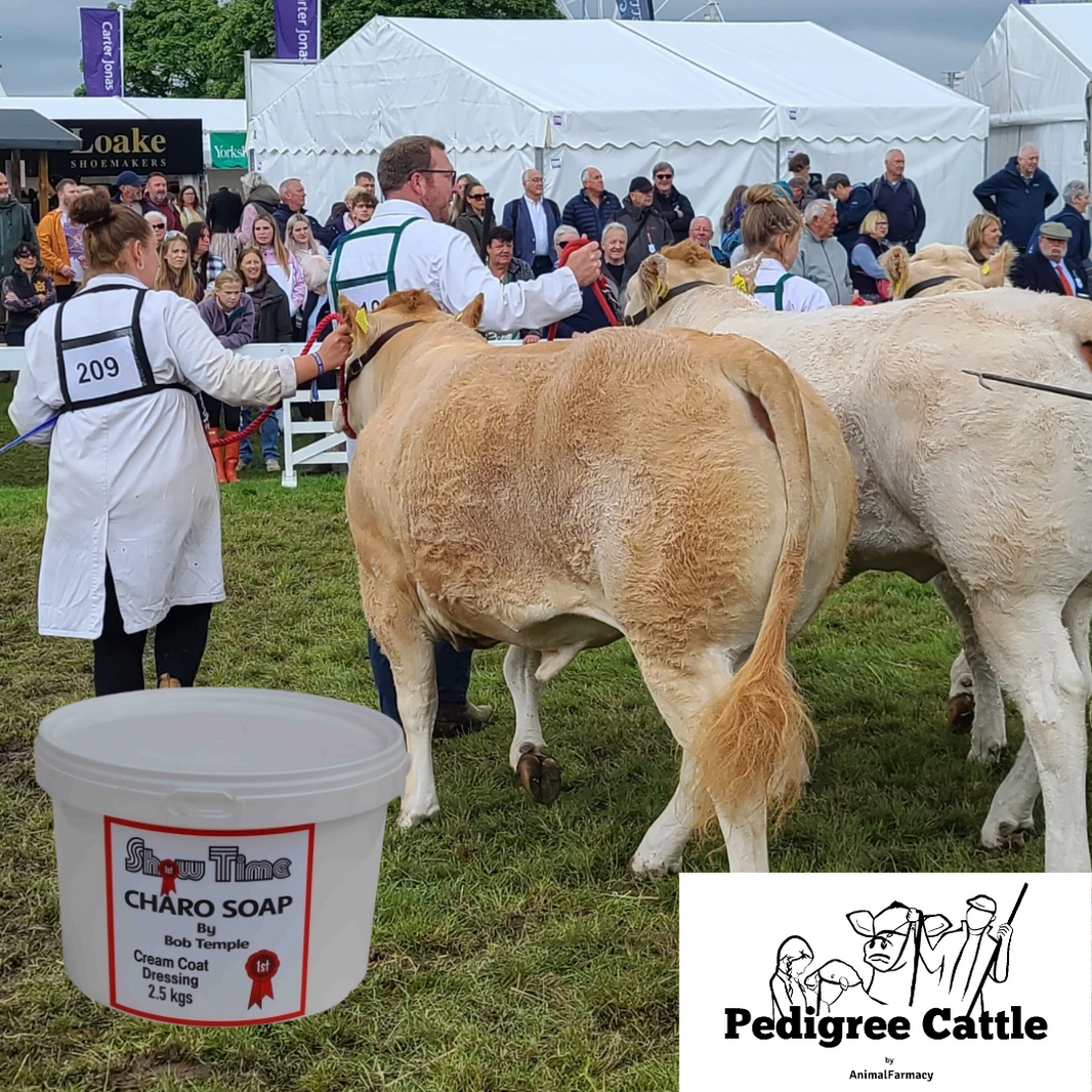 Grooming Products for Cattle | Animal Farmacy – Animal Farmacy