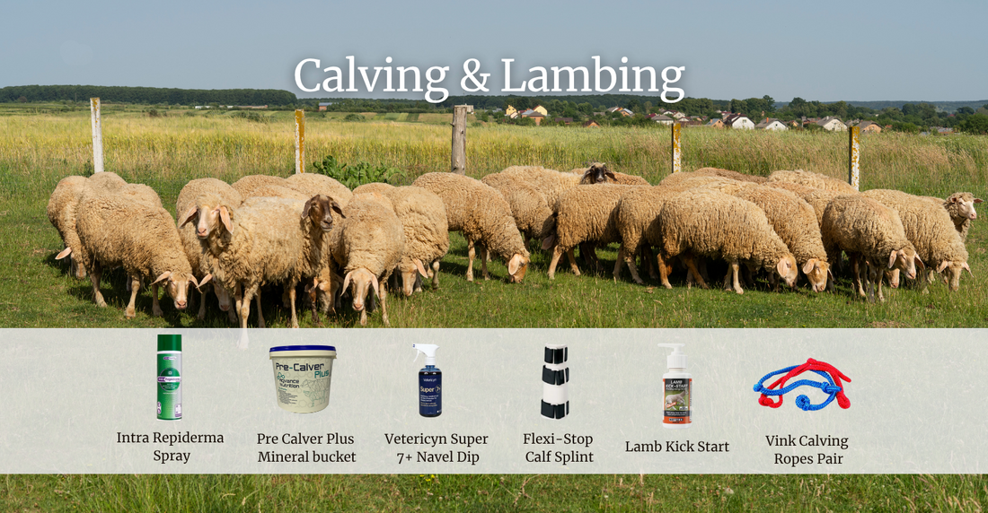 Animal Farmacy | Vet Supplies & Farm Equipment for Livestock