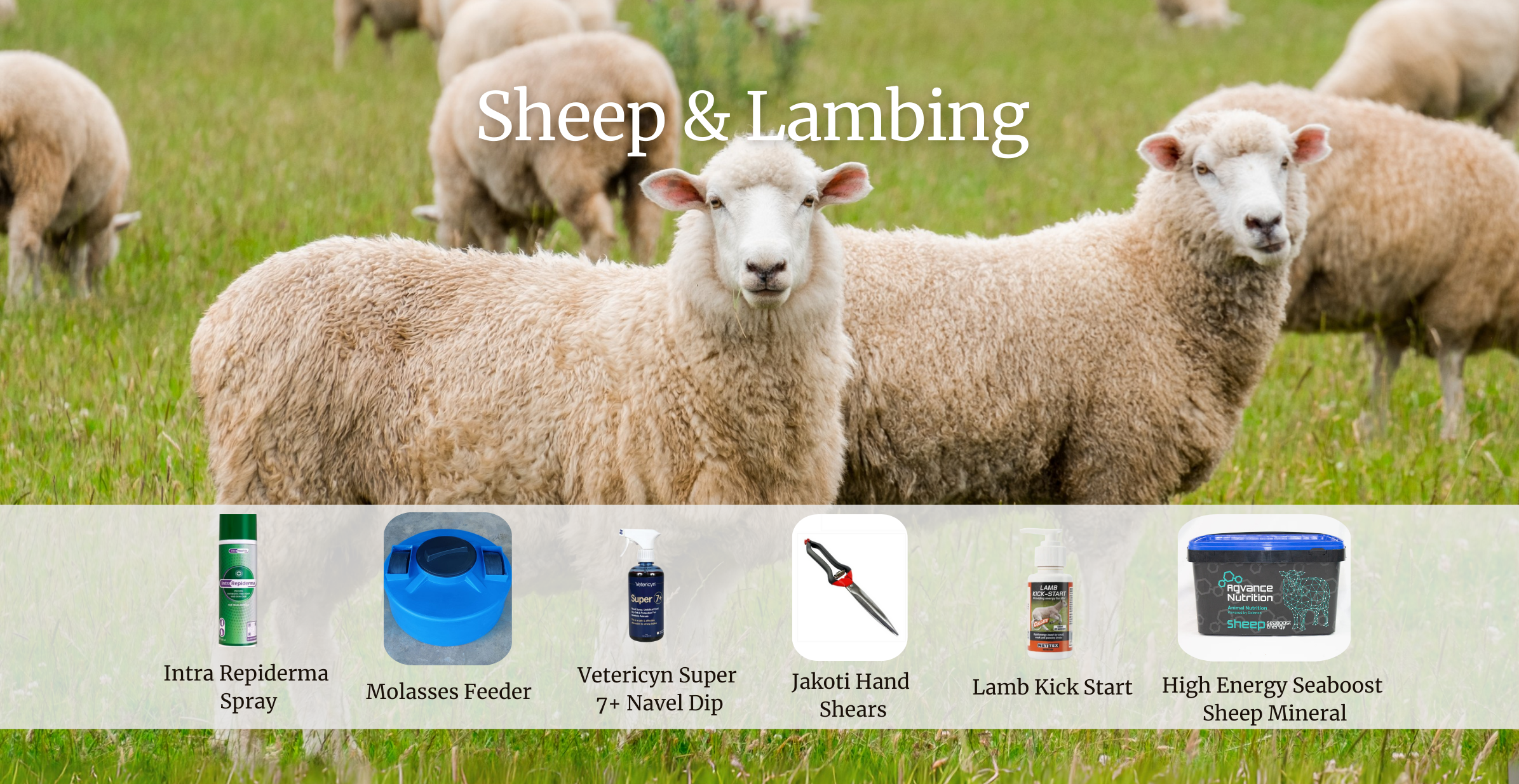 Animal Farmacy | Vet Supplies & Farm Equipment for Livestock
