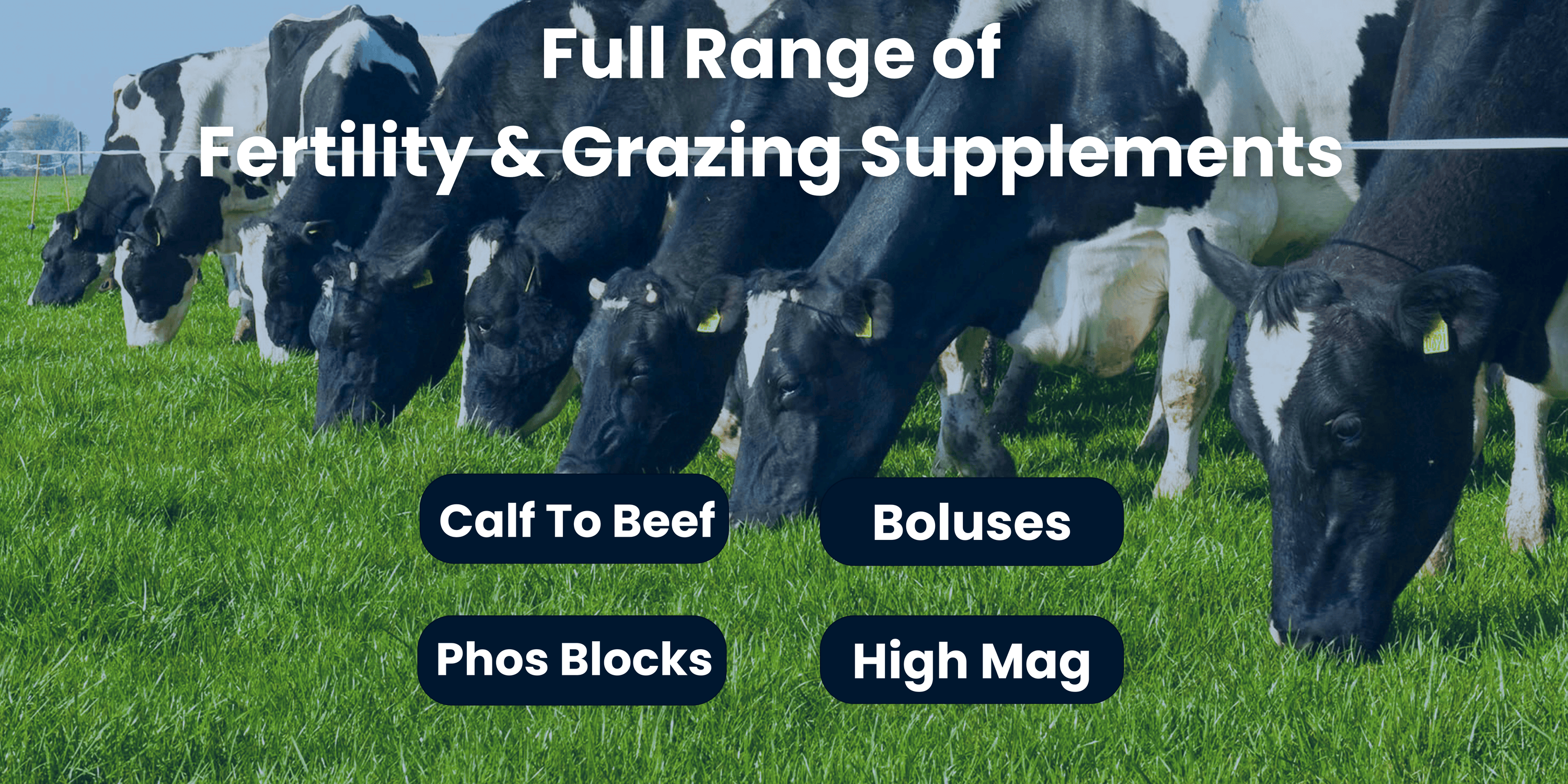 Animal Farmacy | Vet Supplies & Farm Equipment for Livestock
